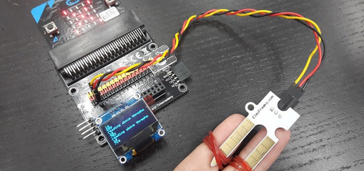 Micro:bit Lie Detector